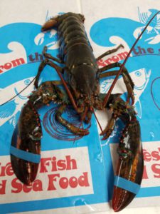 Fresh Maine Lobster – McLaughlin Seafood